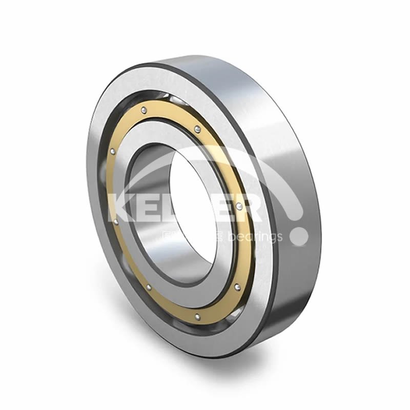 SKF 6006-2RS1/WT Bearing - Keller Germany Bearing GmbH